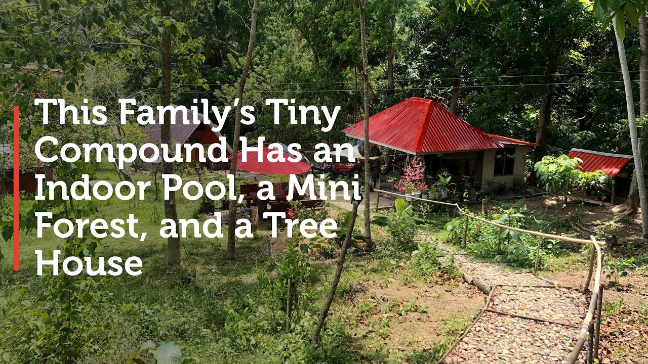 This Family's Tiny Compound Has an Indoor Pool, a Mini Forest, and a ...