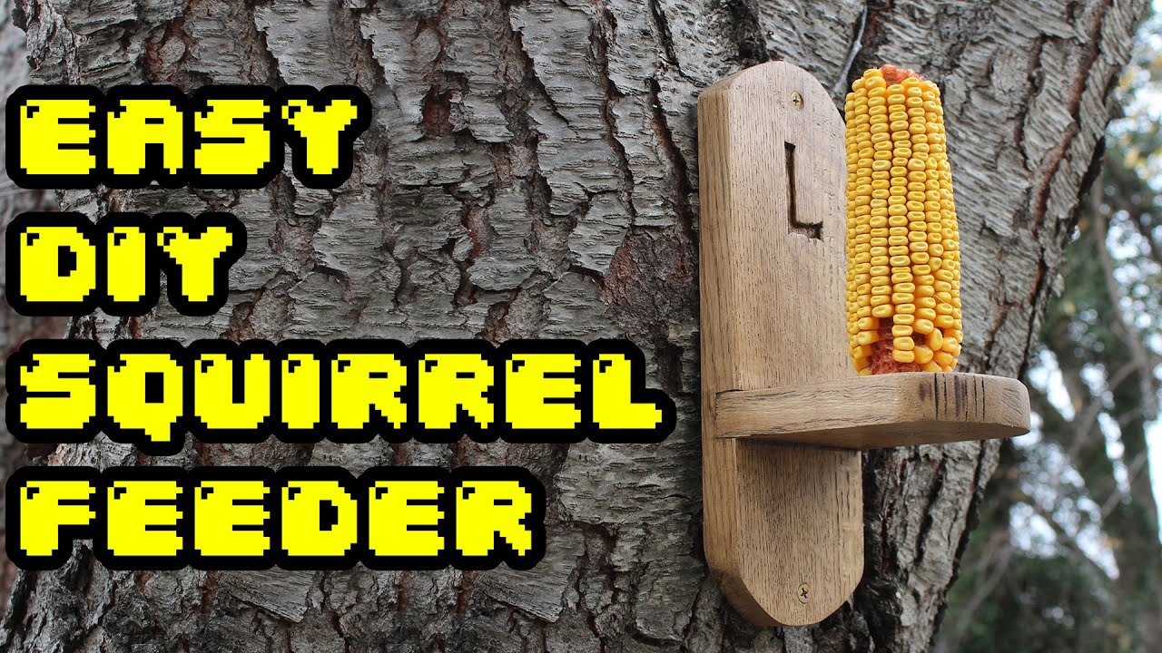 Gettin Squirrely Easy DIY Squirrel Feeder YouTube