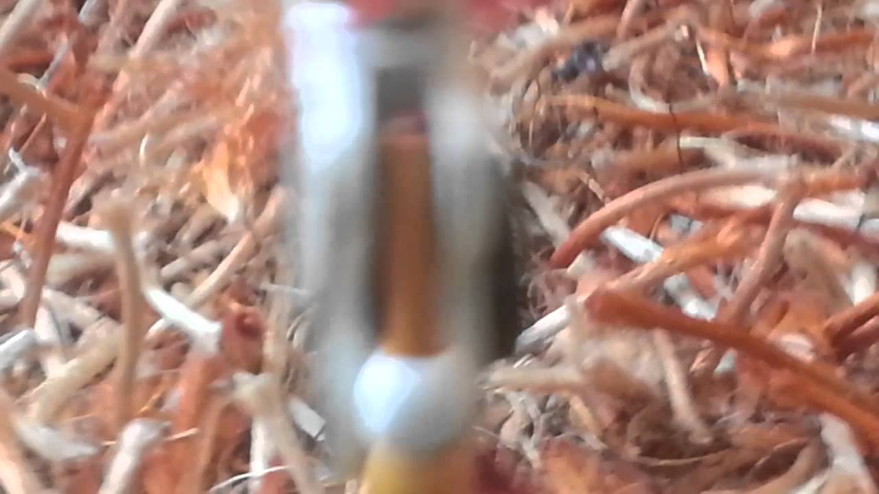 20130310_105507 Titiri tiri tiri - YouTube