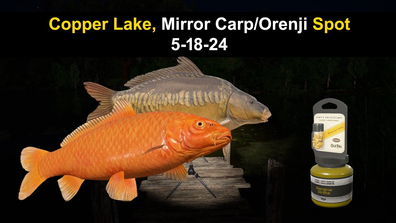 Russian Fishing 4, Copper Lake, Mirror Carp/Orenji Spot 5-18-24 - YouTube
