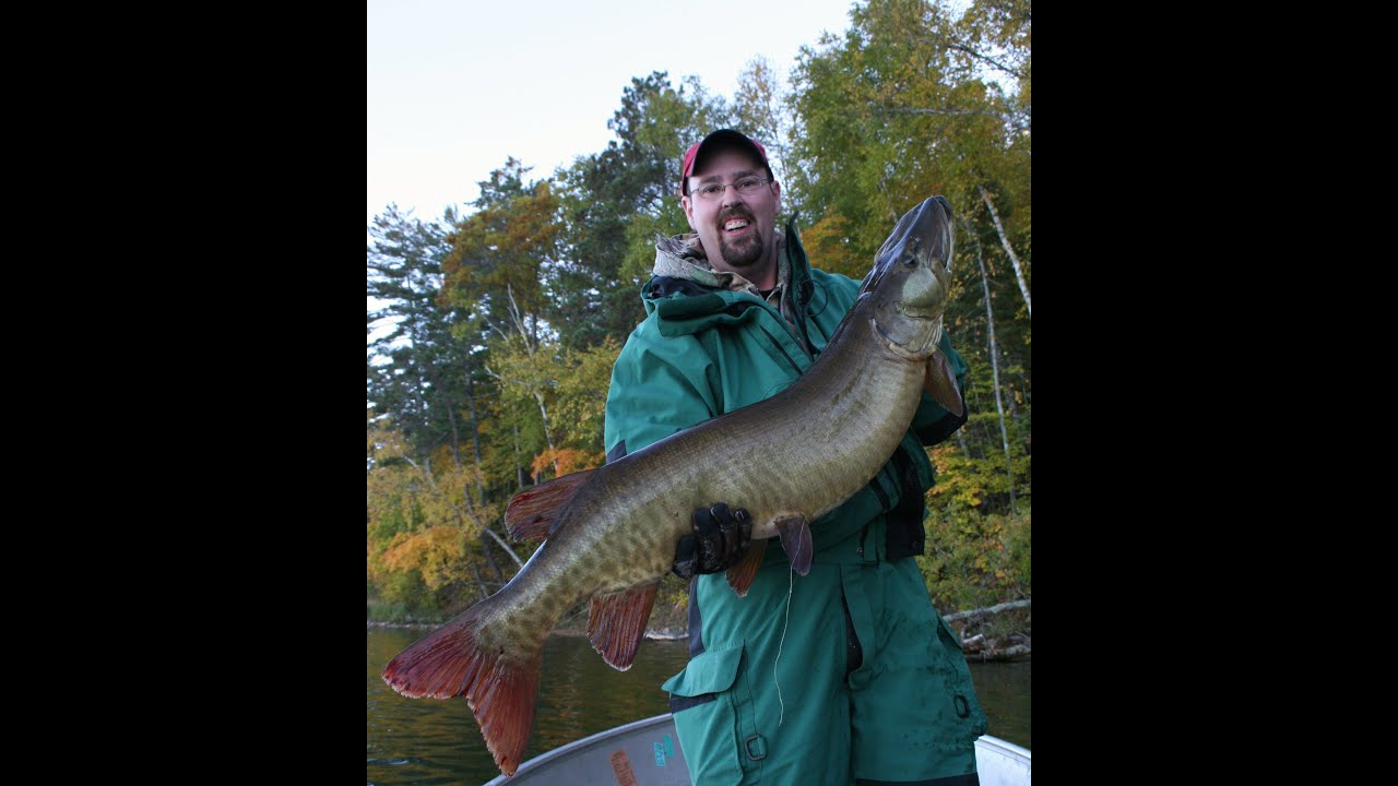 Musky Mark catching Muskies - YouTube