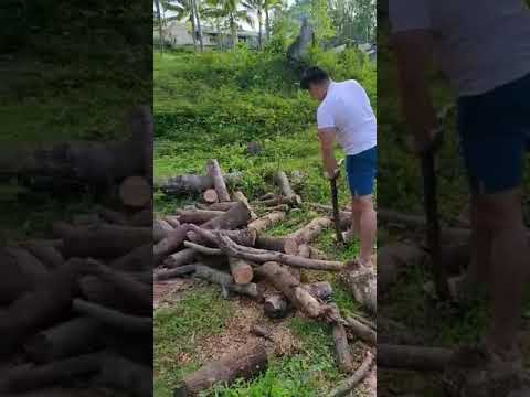 BAKASYUNISTA SA BOHOL NAGSIBAK NG KAHOY || 1ST TIME MAGSIBAK NG KAHOY ...