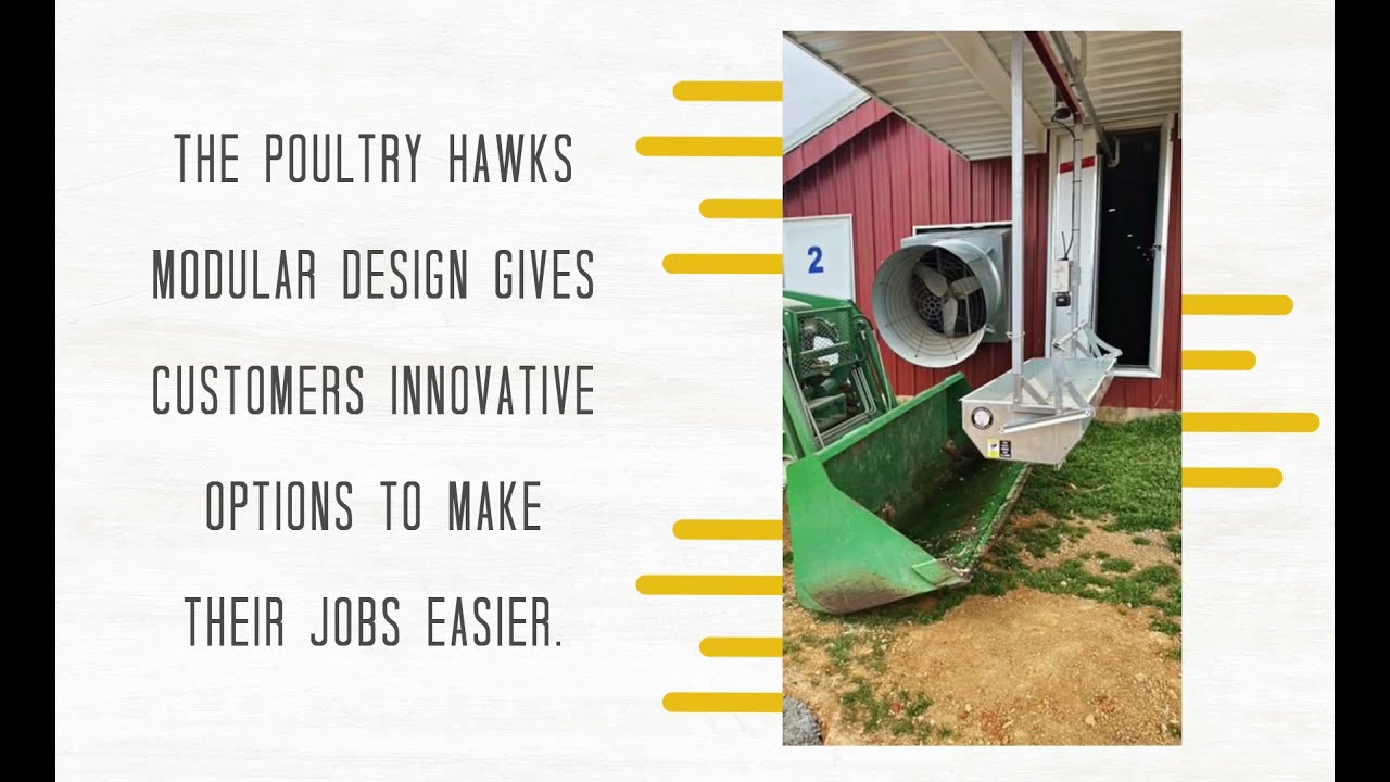 Modular system + innovative idea = Poultry Hawk roof - YouTube