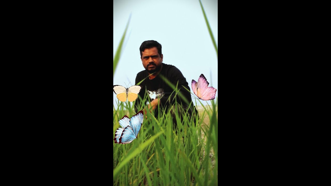 mixed video - YouTube