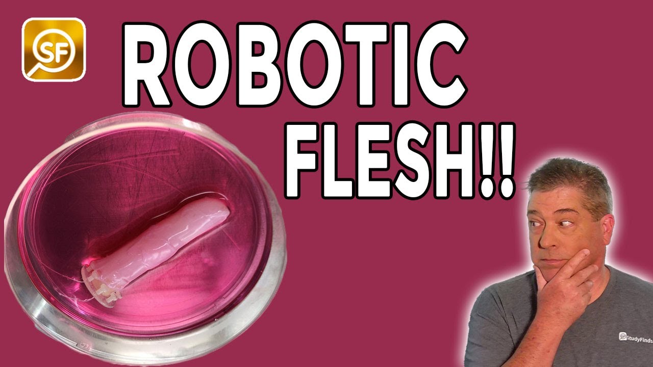 Robotic Flesh? Scientists Create Living Skin For Covering Robots - YouTube