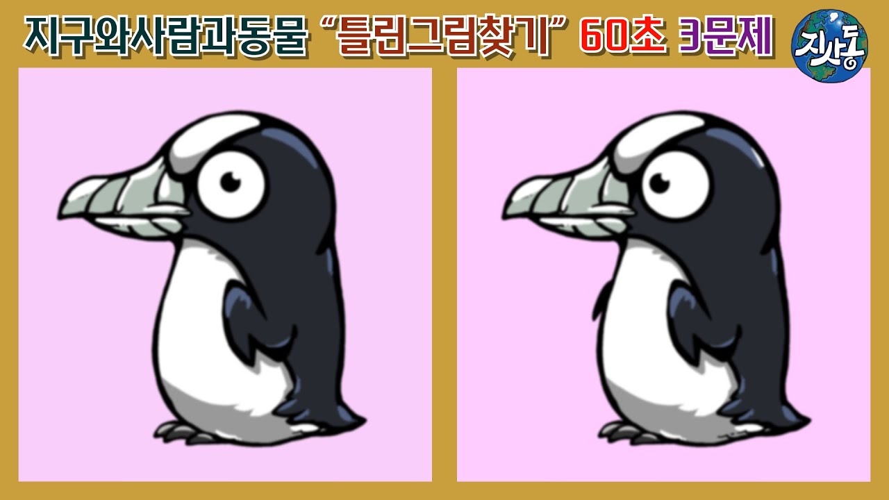 [🌛The Hidden Catch🌜] 틀린그림찾기 Ep75 #지사동 #동물 60초 동안 5곳 찾기 #두뇌운동 #집중력훈련 #동물 ...
