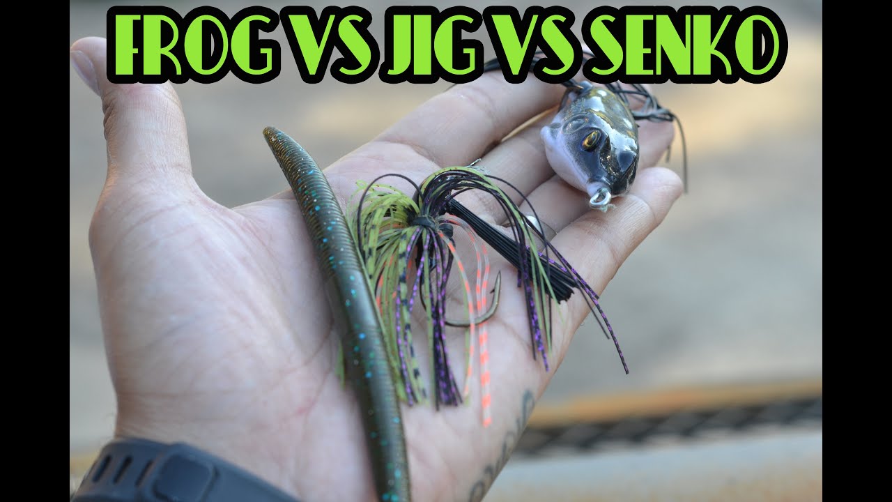 FROGS VS JIG VS SENKO - YouTube