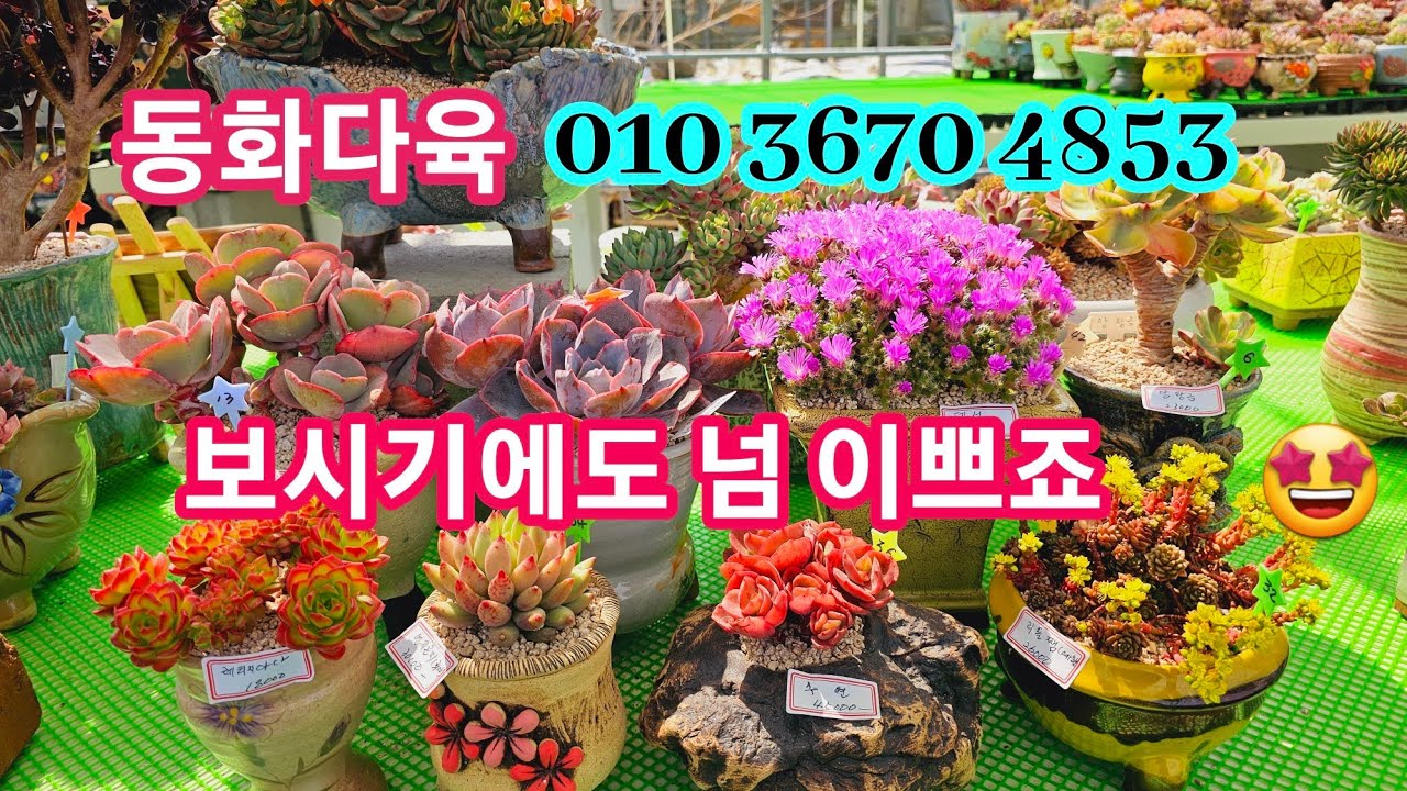 ๋ํ๋ค์ก๐คฉ๋ด์ฌ๊ฝ์ด๋์ด๋ป์์บ์๋ฏธ์ด์ฒ ํ๋๋กญ๋ธ๋ฃจ์ํ์๊ฐ๋ฒ ์ด๋น๋ ๋ํ์ฒ ํ๋ก์ฆ๋ฝ๊ธ๋ค์ด๋ชฌ๋์คํ
์ดํธ๊ธ์ฌ๋ฆฌ๋ธ์ํก๊ธ๐ฅ234