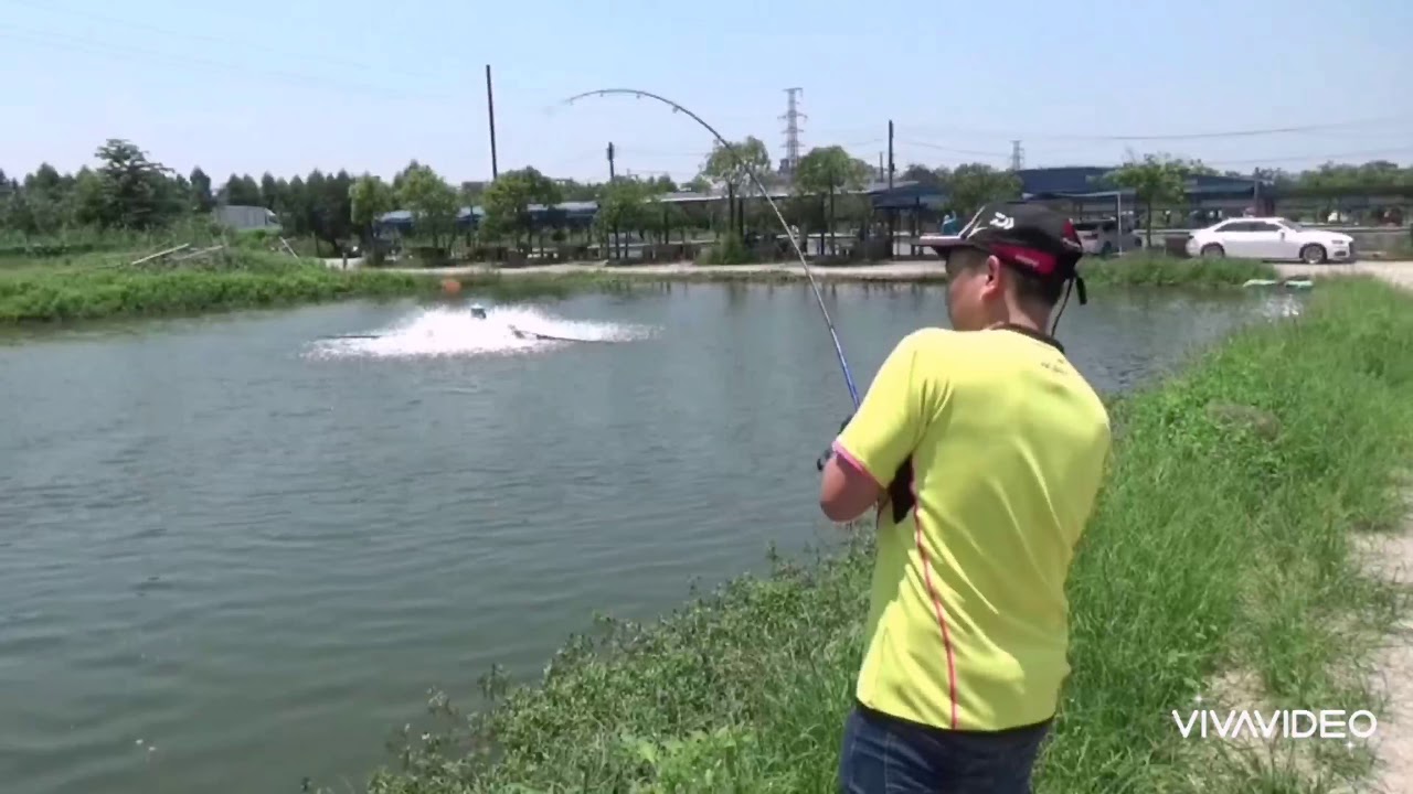 Electric Live baits, Swimming Robotic Segment Fishing Lure - Animated ...