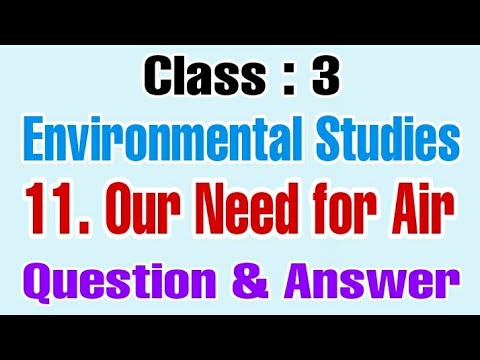our need for air questions and answers | our need for air std 3 ...