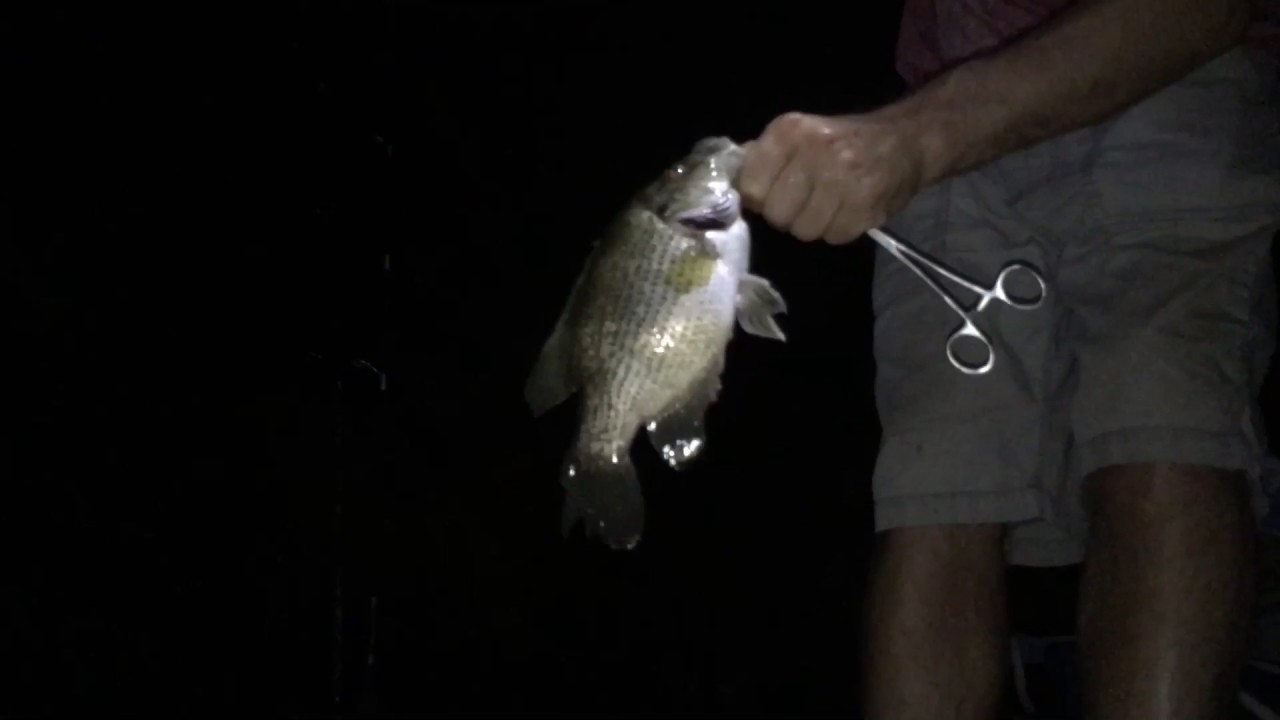 Merrimack river for night fishing. - YouTube