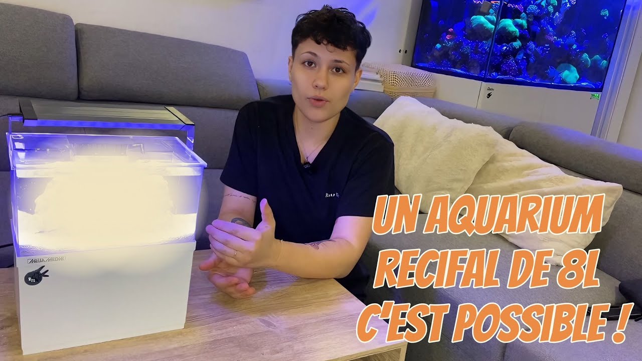 PICO AQUARIUM MARIN DE 8L EST-CE POSSIBLE ? - YouTube
