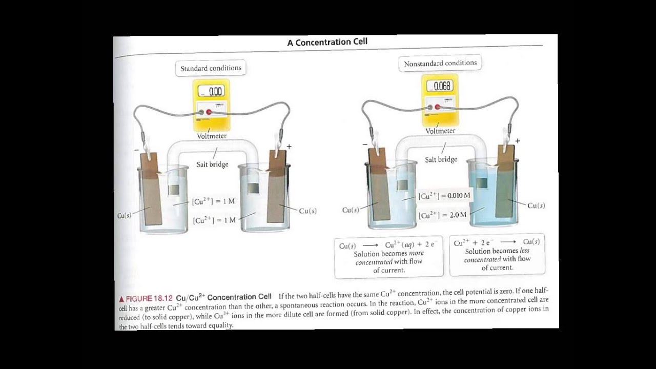 concentration cells - YouTube