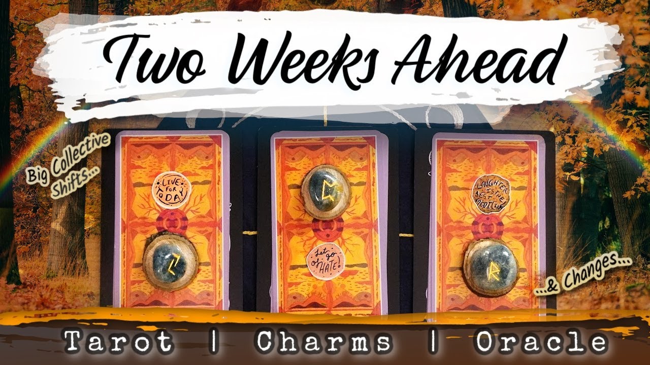 🍁 Pick A Card 🔮 Your Next Two Weeks 🦋 Love, Career, Truth & Purpose ...