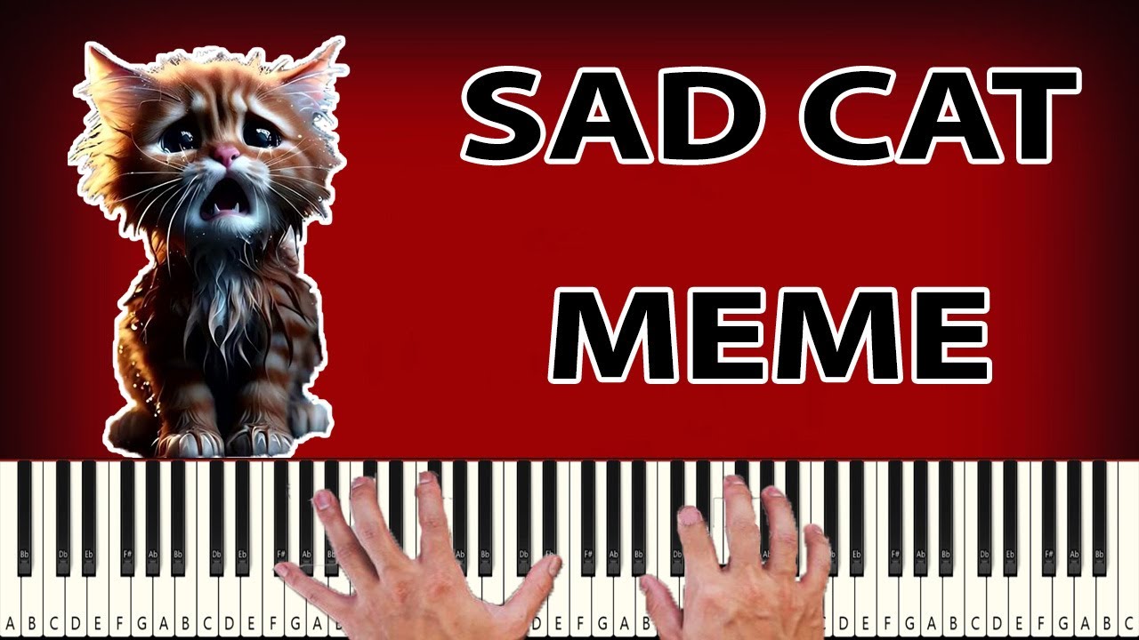 Sad Cat Meme Song (TikTok) - PIANO TUTORIAL - YouTube