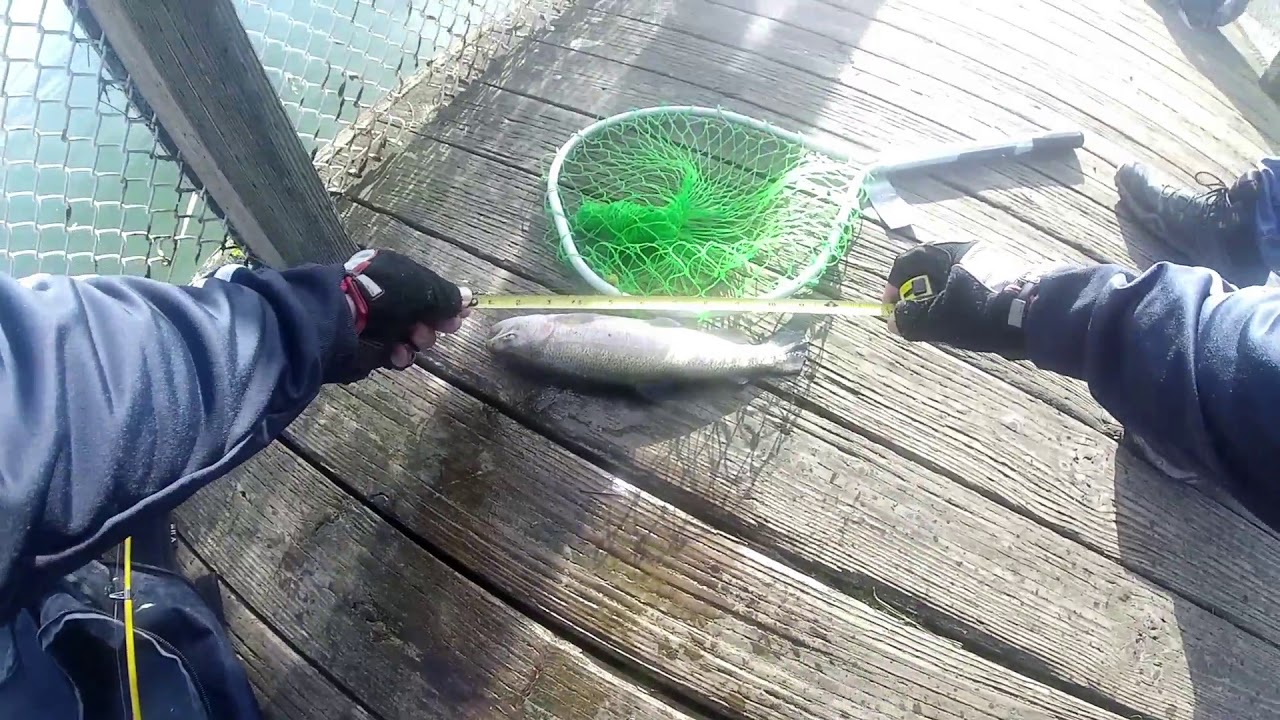 Fishing with Mike and Harry at Lake Merced - 1/4/2020 - YouTube