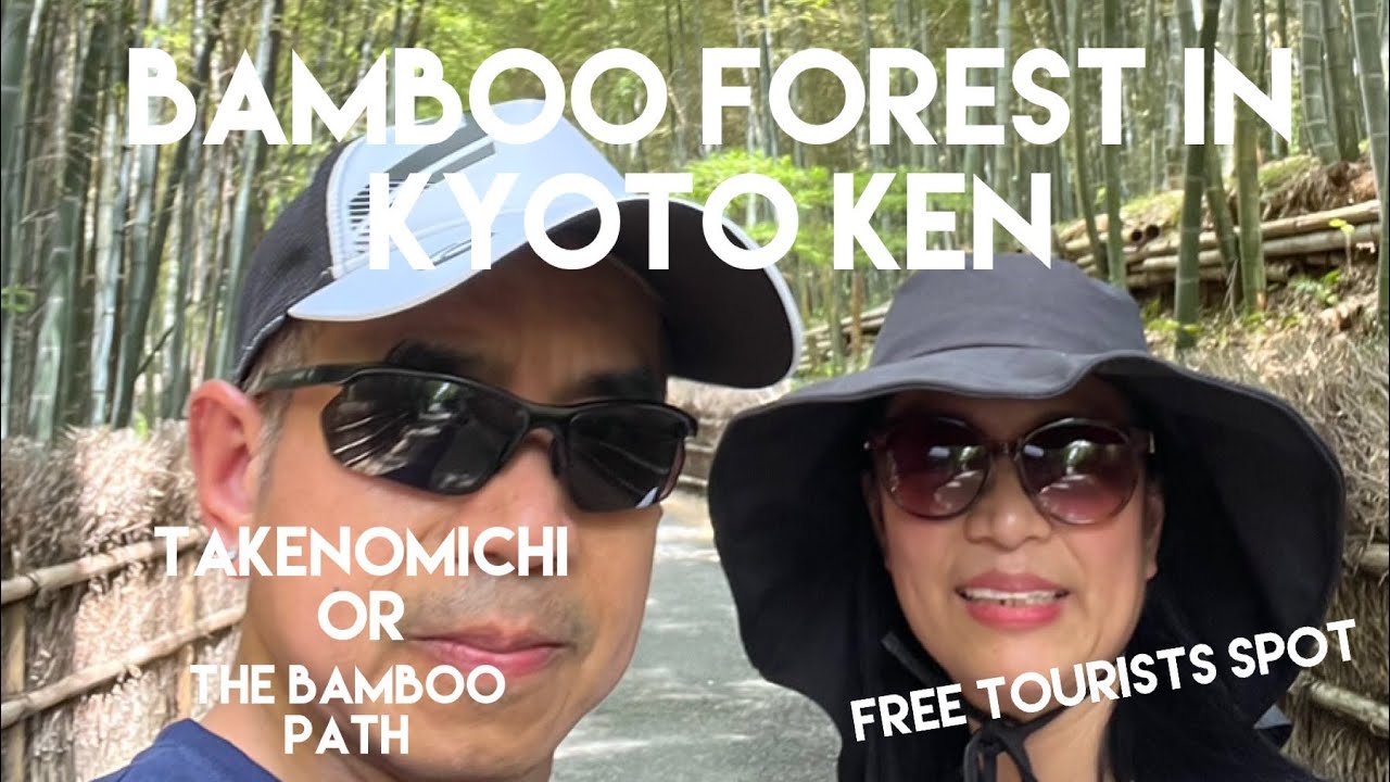 Bamboo Forest in Kyoto Ken // Free tourists spot // Relaxing Nature ...