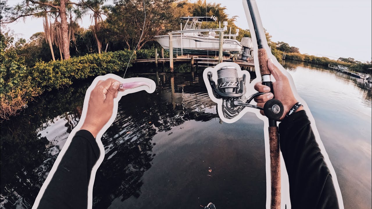 HUGE SNOOK ON THE NLBN 3'' - YouTube