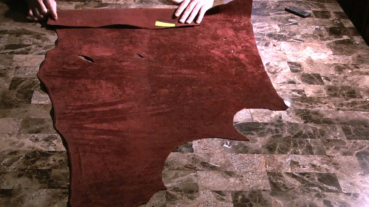 Genuine Hippo Skin in HD with Close Ups and details - YouTube