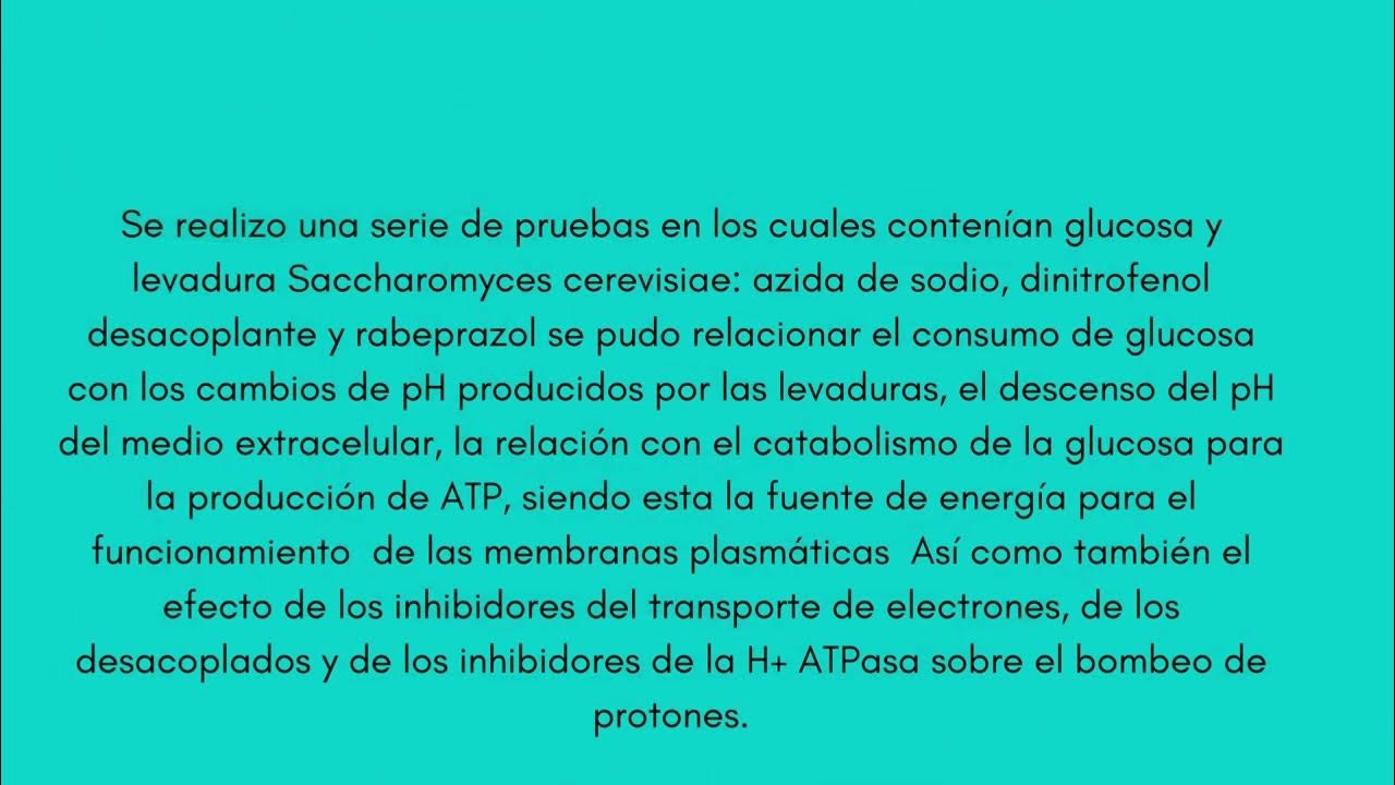 Videoreporte Grupo6 Seccion dQB - YouTube