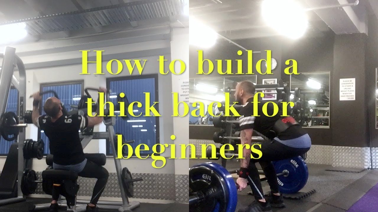How to build a thicker back for beginners??..My current back routine ...