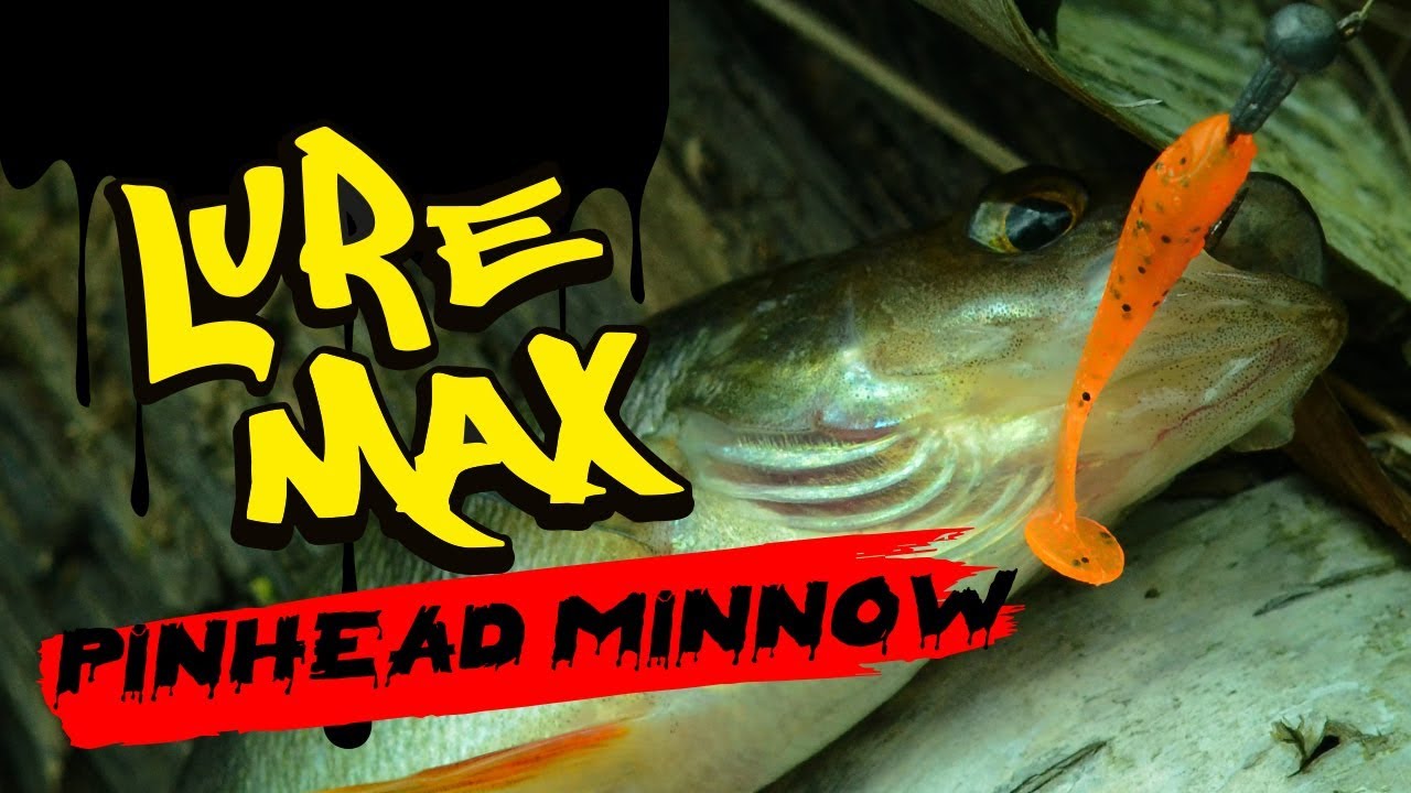 Мягкие приманки LureMax Pinhead Minnow - YouTube