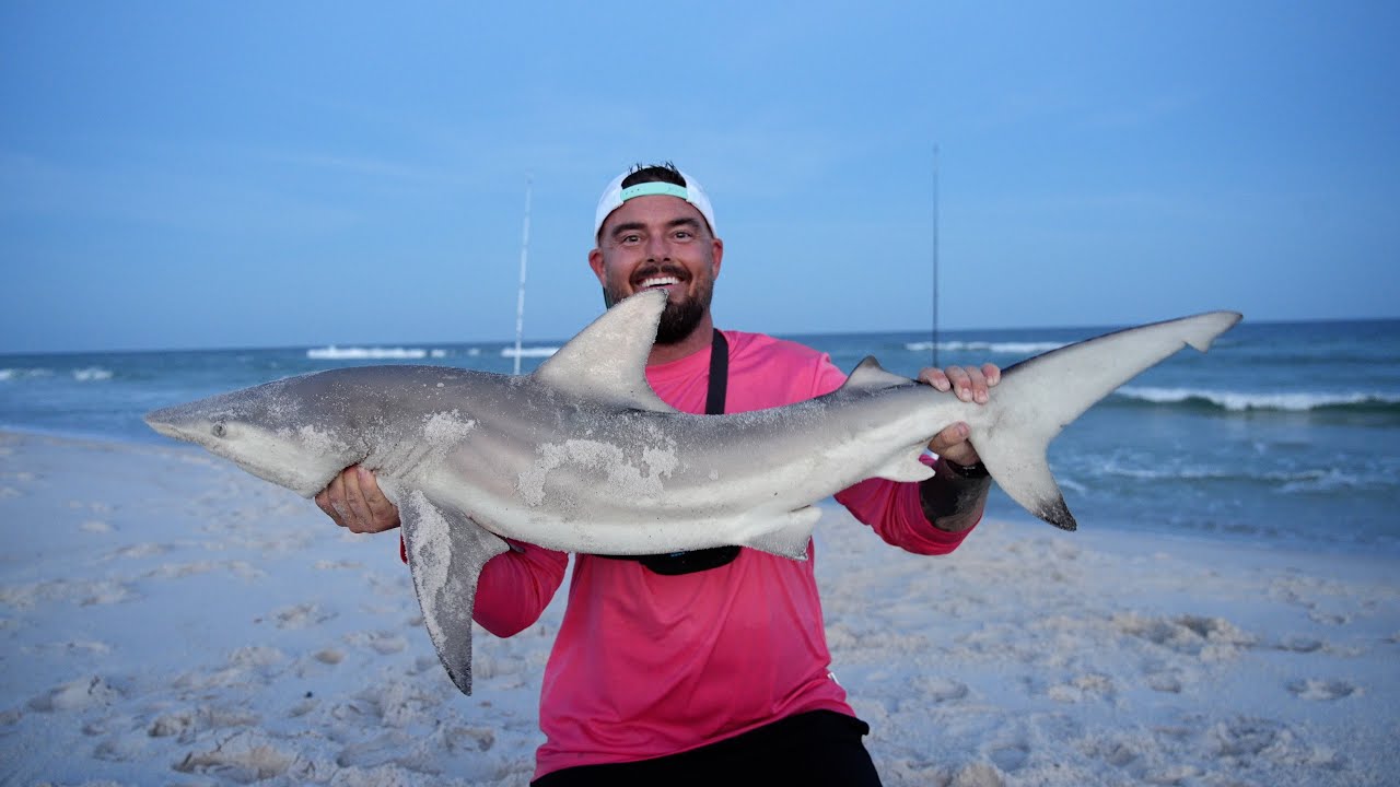 SHARK fishing off the beach in Florida! - YouTube