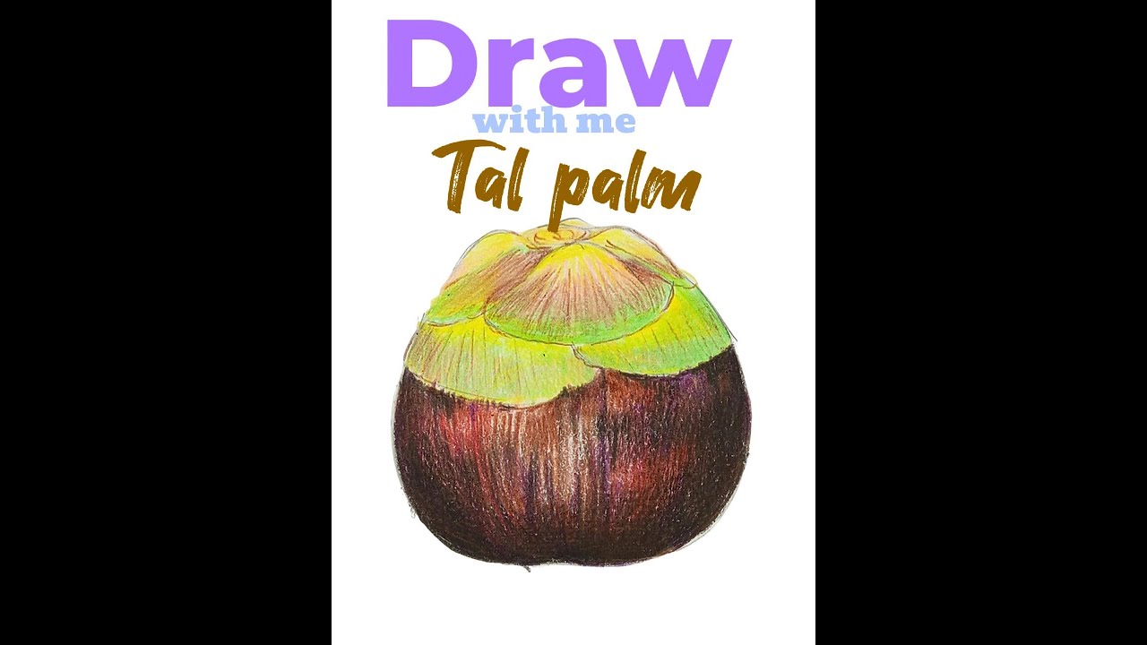 Draw a Tal palm easy way using color pencil step by step - YouTube