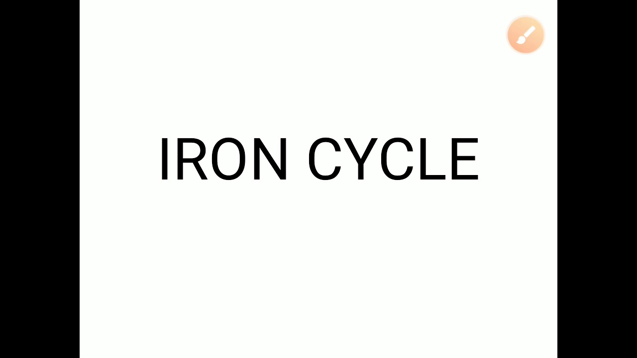 Iron Cycle (Environment Microbiology) - YouTube