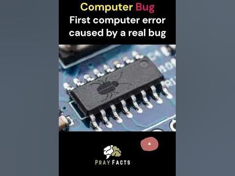 Bugging Out: The Origins of Computer 'Bugs' and Their Legacy 🐛💻 #facts ...