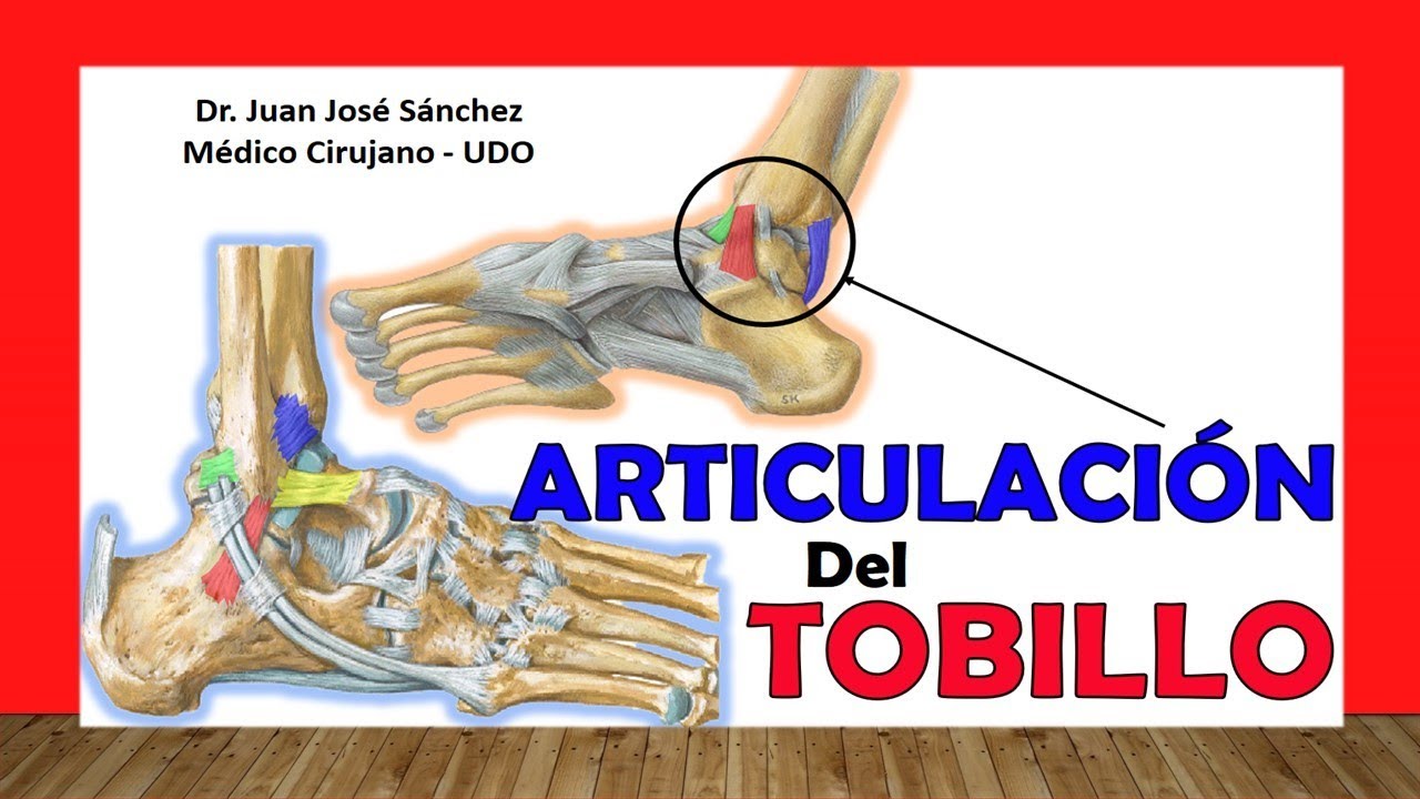 🥇 ARTICULACIÓN DEL TOBILLO. ¡Explicación Sencilla! - YouTube