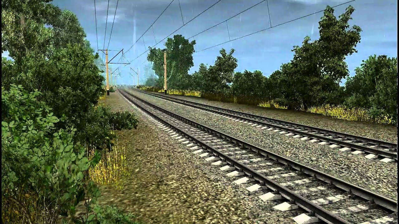 Тест Speed Tree - YouTube