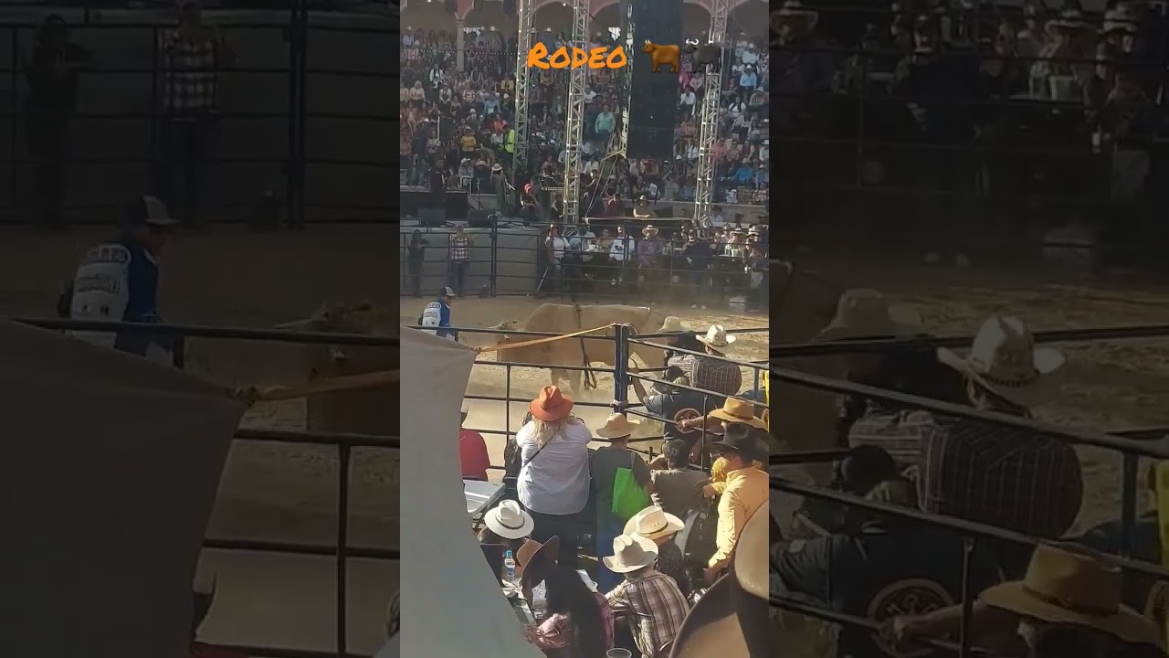 Rodeo San Miguel el Alto, Jalisco - YouTube