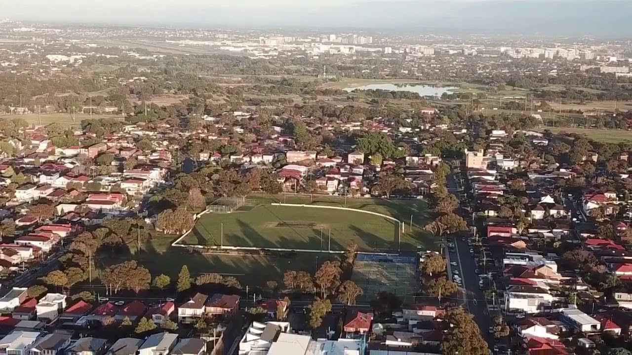 Crazy magpie attack - YouTube