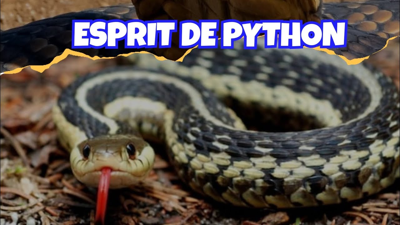 Un esprit de python dans une femme - YouTube