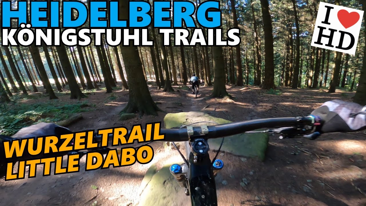 HEIDELBERG KÖNIGSTUHL Wurzeltrail + Little Dabo / Mountainbike Enduro ...