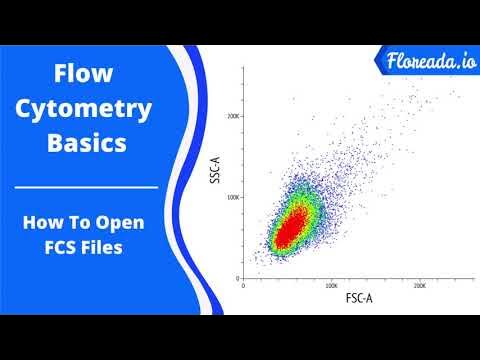 Flow Cytometry Basics: How to open FCS files (floreada.io) - YouTube