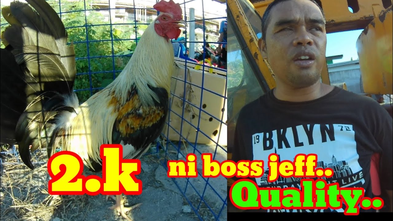 boss jeff lowest pa din sa persyohan,,bocaue pet market.. - YouTube