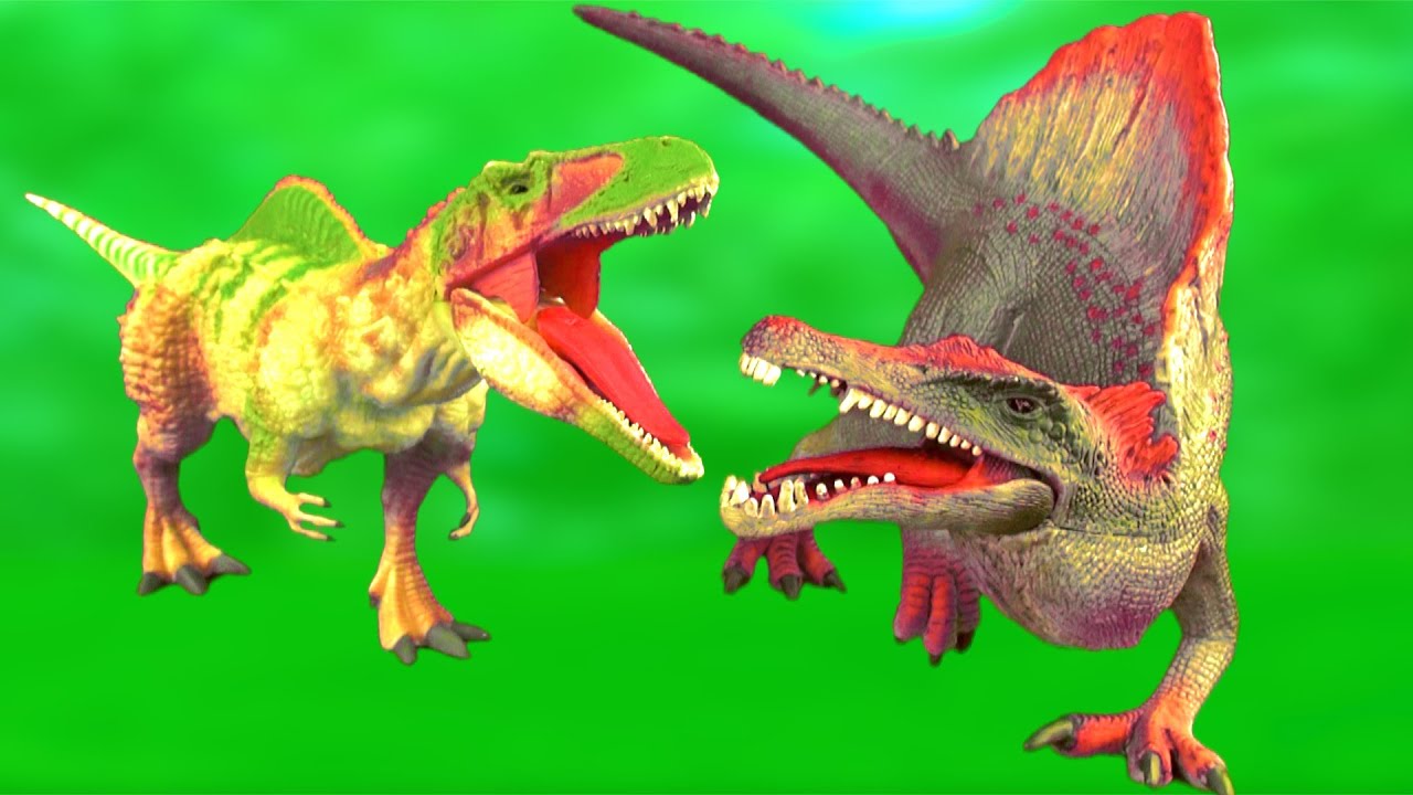 Dinosaur Fight Acrocanthosaurus vs Spinosaurus Battle T rex Dino รบ ได ...