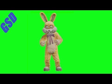 Lucky the Rabbit Green Screens - YouTube