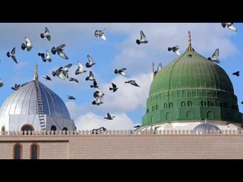 SENİ GÖRMEDİM DÜNYADA \