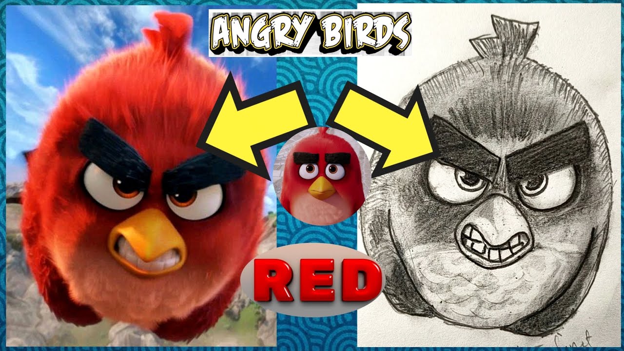 How to Draw Red 😍 from The Angry Birds Movie 😎🥹#red #drawing #howto # ...