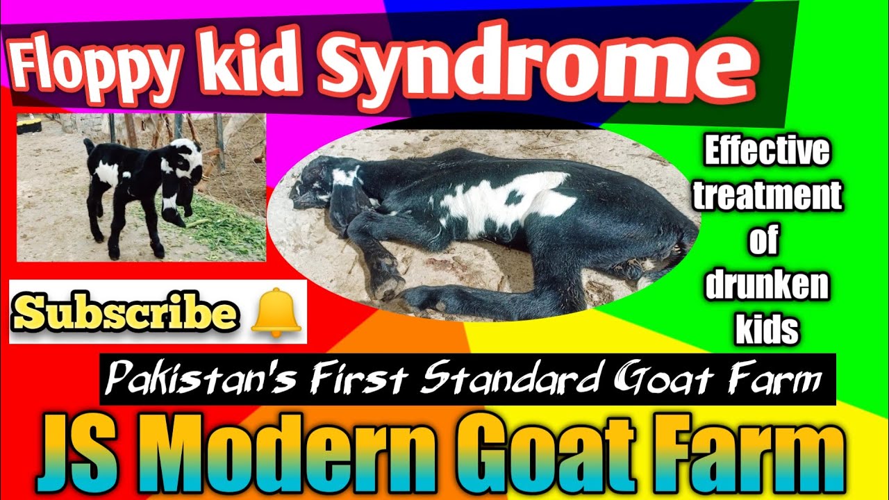 Floppy kid Syndrome || Effective Treatment of Diarrhea drunken Kids ...