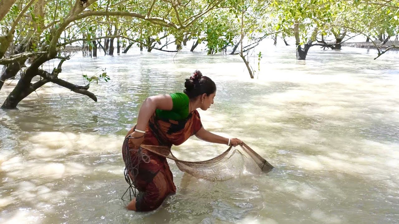 Best jungle river net fishing - Beautiful girl catching fish With a ...