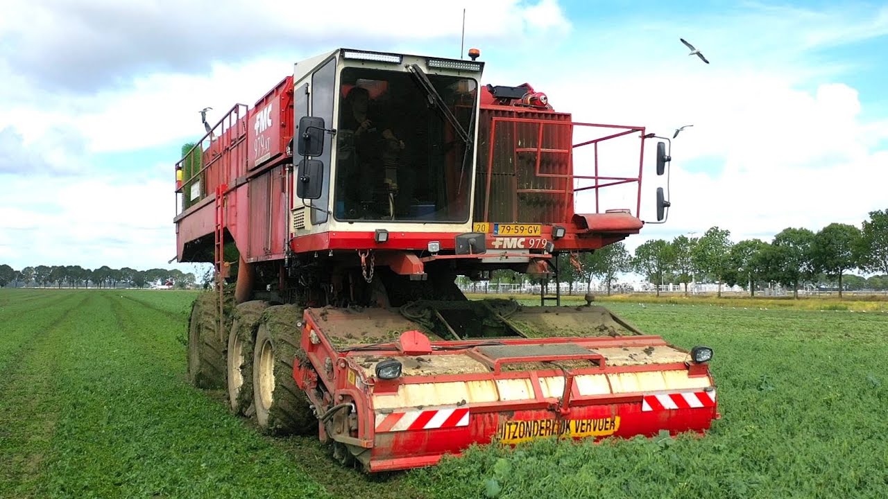 Doperwten oogst 2023 door Van Rijsingen Sourse bij Fam Brinkman-Zijlker ...
