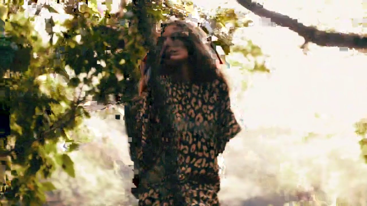 Rio de Janeiro HABITAT + AMPARA Animal | AMPARA Silvestre | ANIMALE ...