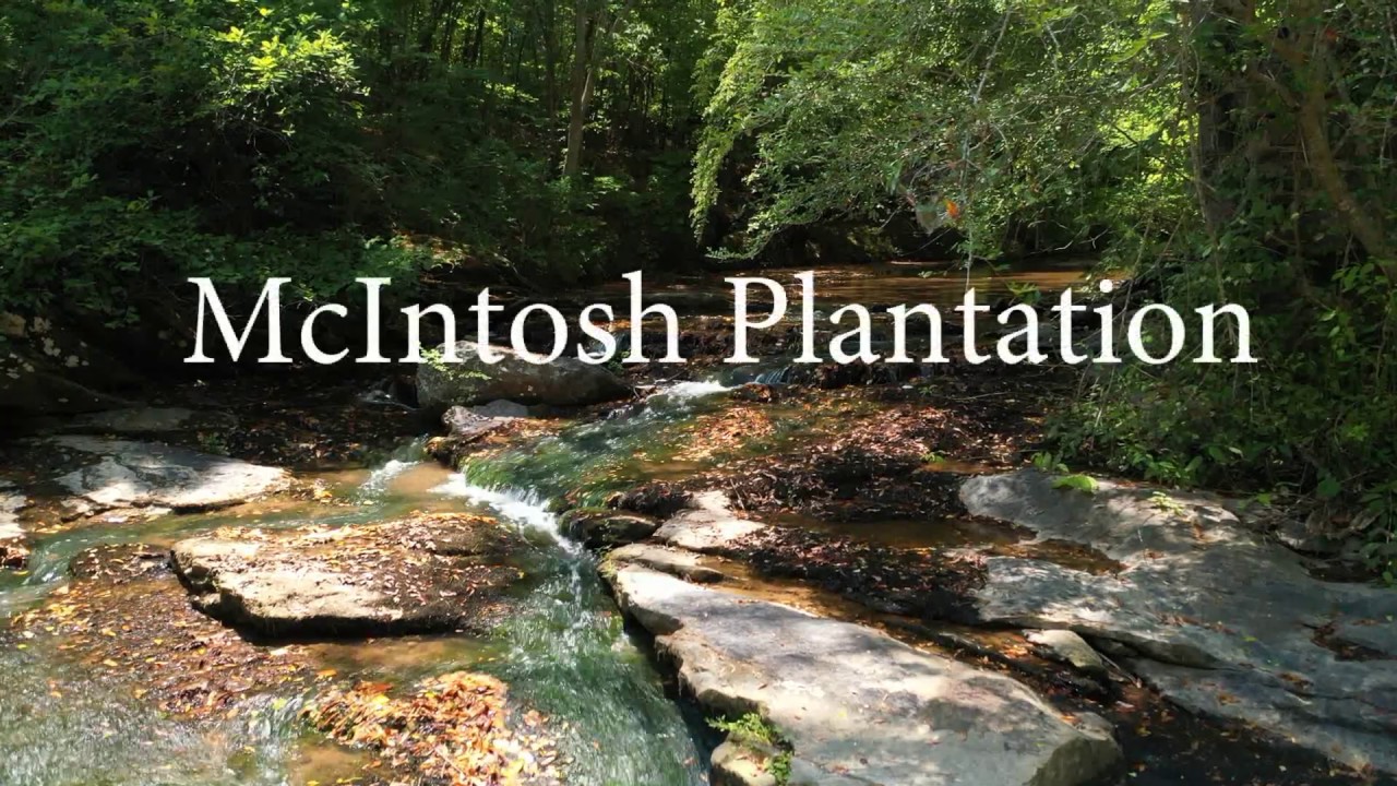 McIntosh Plantation - YouTube