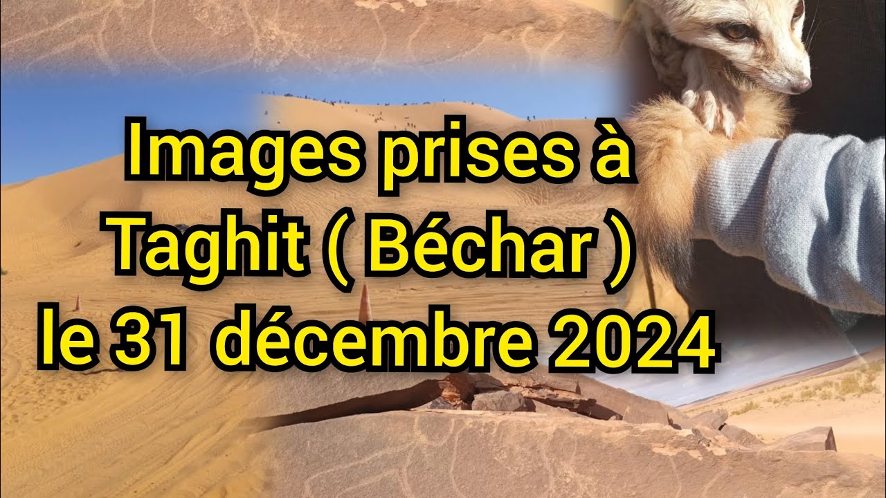 Images prises à Taghit ( Béchar) le 31 décembre 2024 - YouTube
