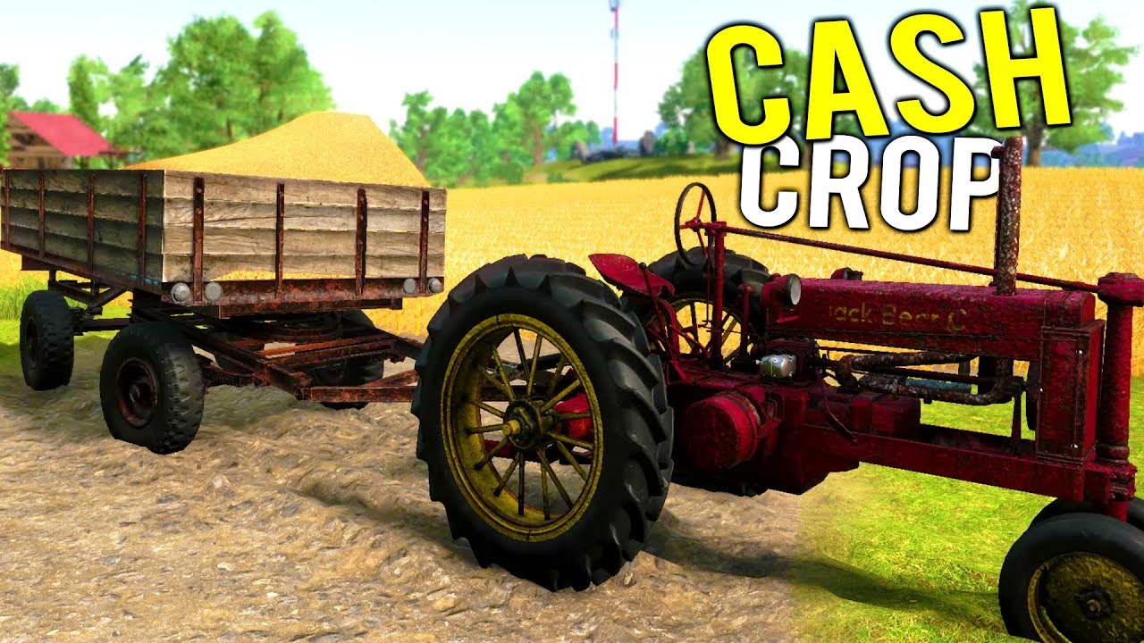 OUR FIRST SUCCESSFUL CASH CROP SALE! Making Money Harvesting Crops ...