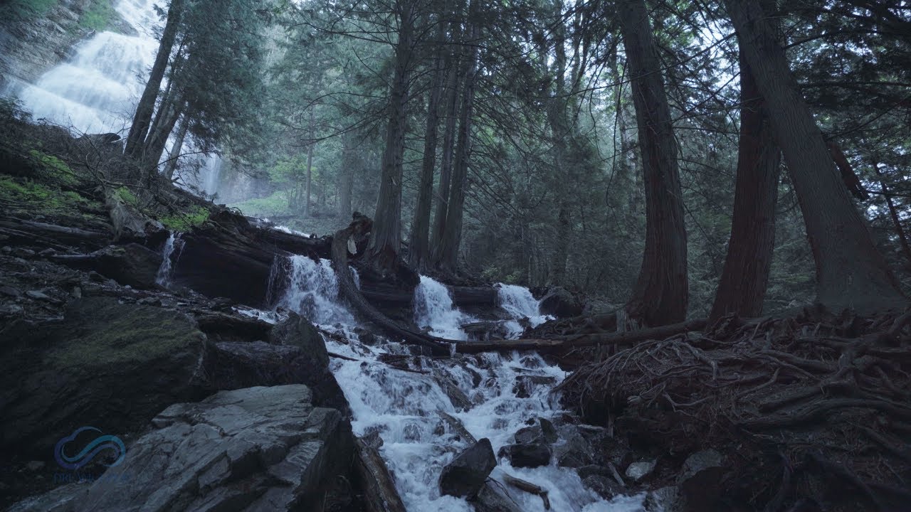 White Noise Waterfall - Dark & Gloomy Creek - 4K - Water Sounds for ...